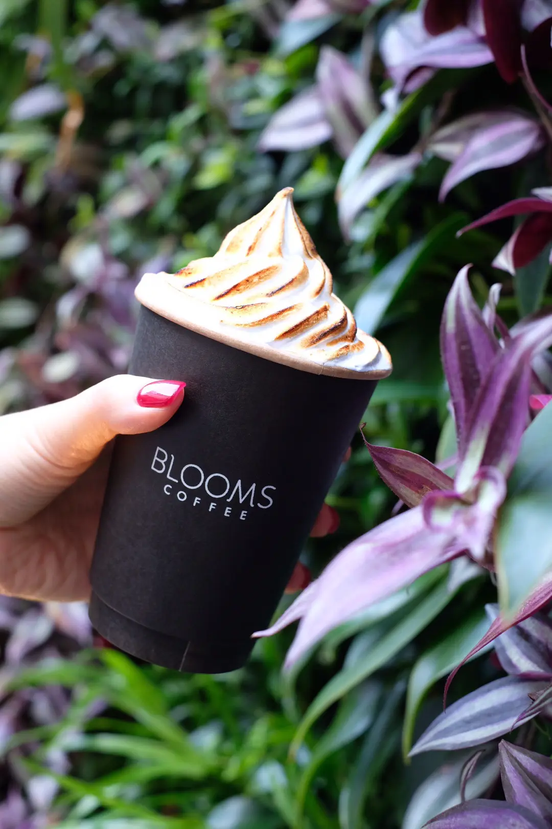 Blooms Coffee (K11 Musea) in Tsim Sha Tsui Hong Kong | OpenRice Hong Kong